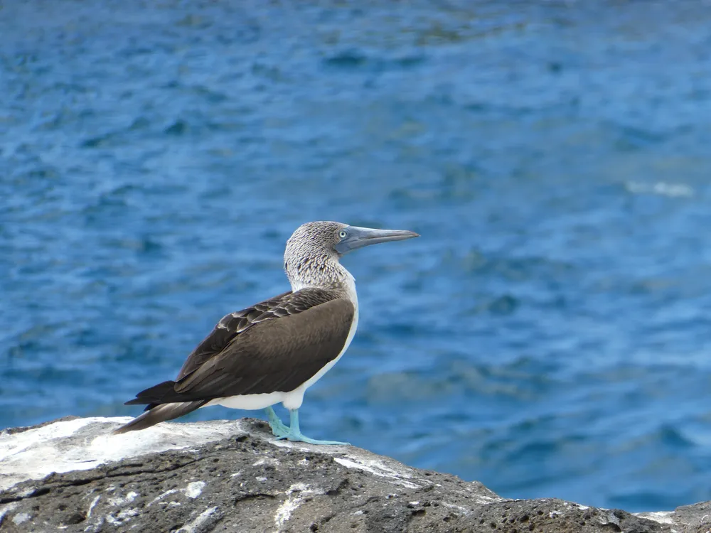 Jacob Padilla - Photography