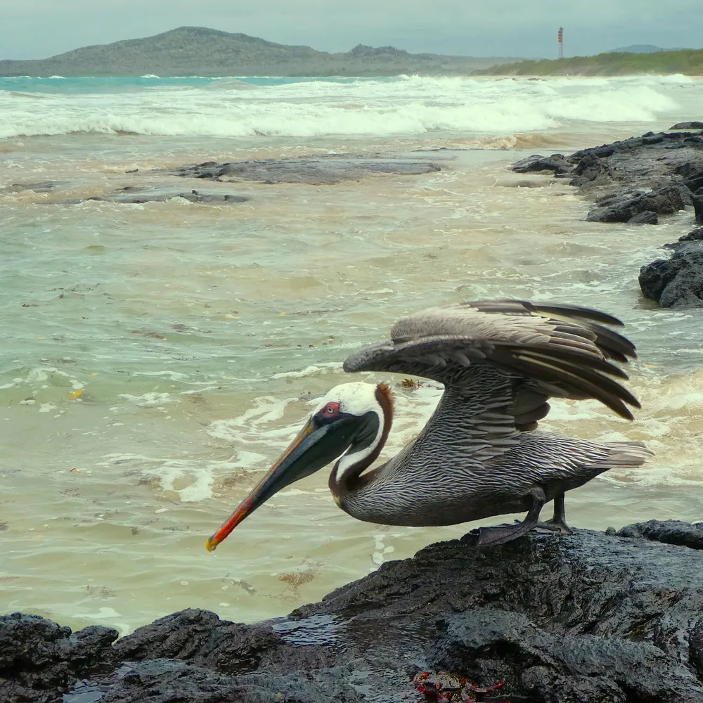 Jacob Padilla - Photography