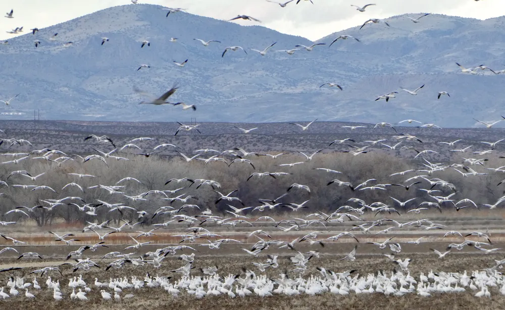 Jacob Padilla - Photography