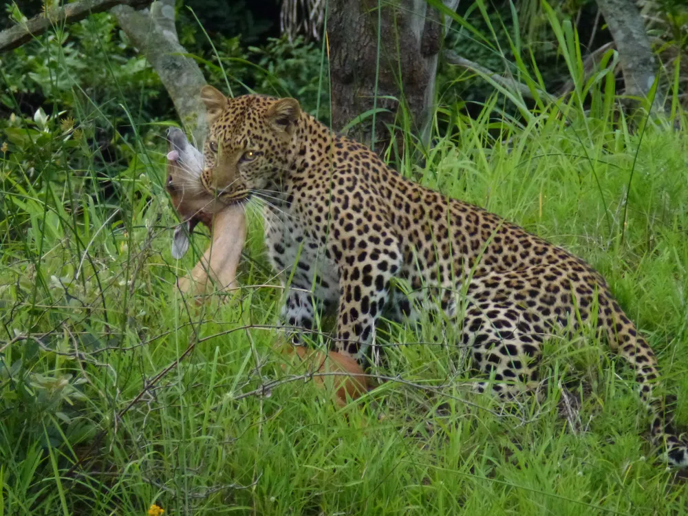 Jacob Padilla - Photography