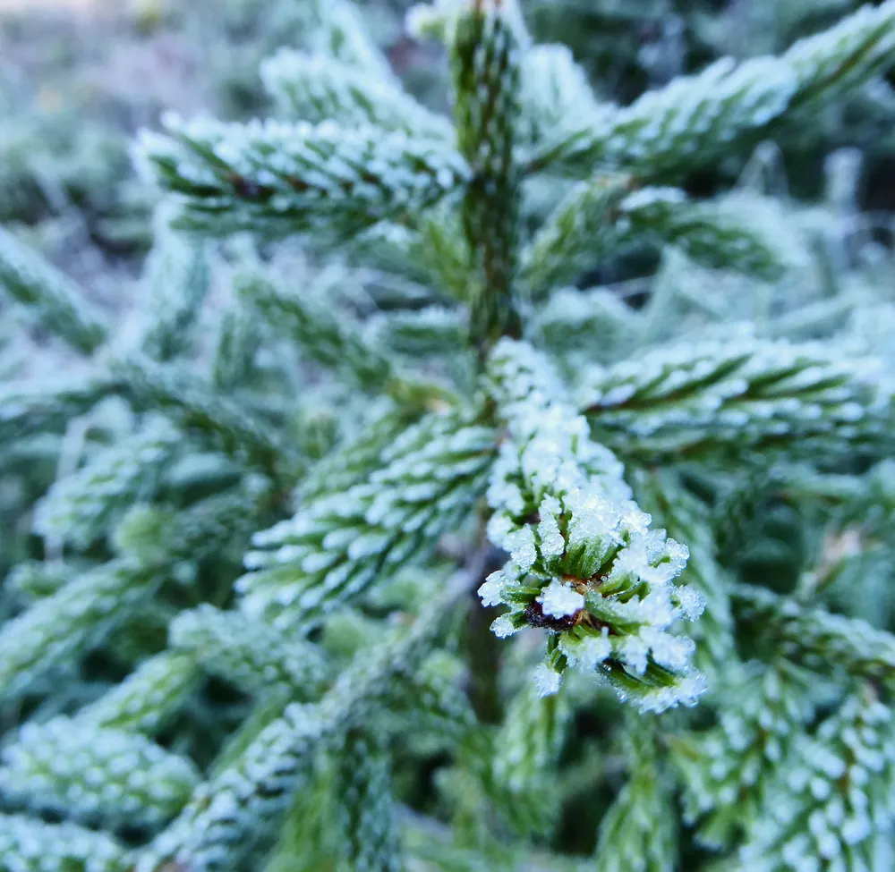 Jacob Padilla - Photography